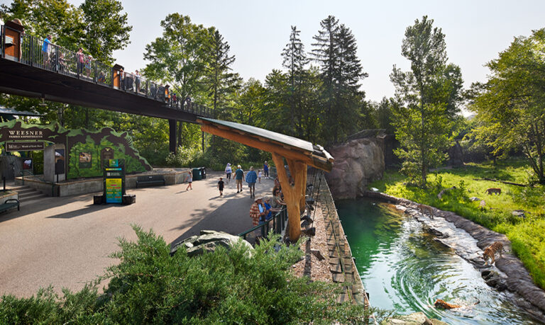 Treetop Trail at the Minnesota Zoo - MBJ