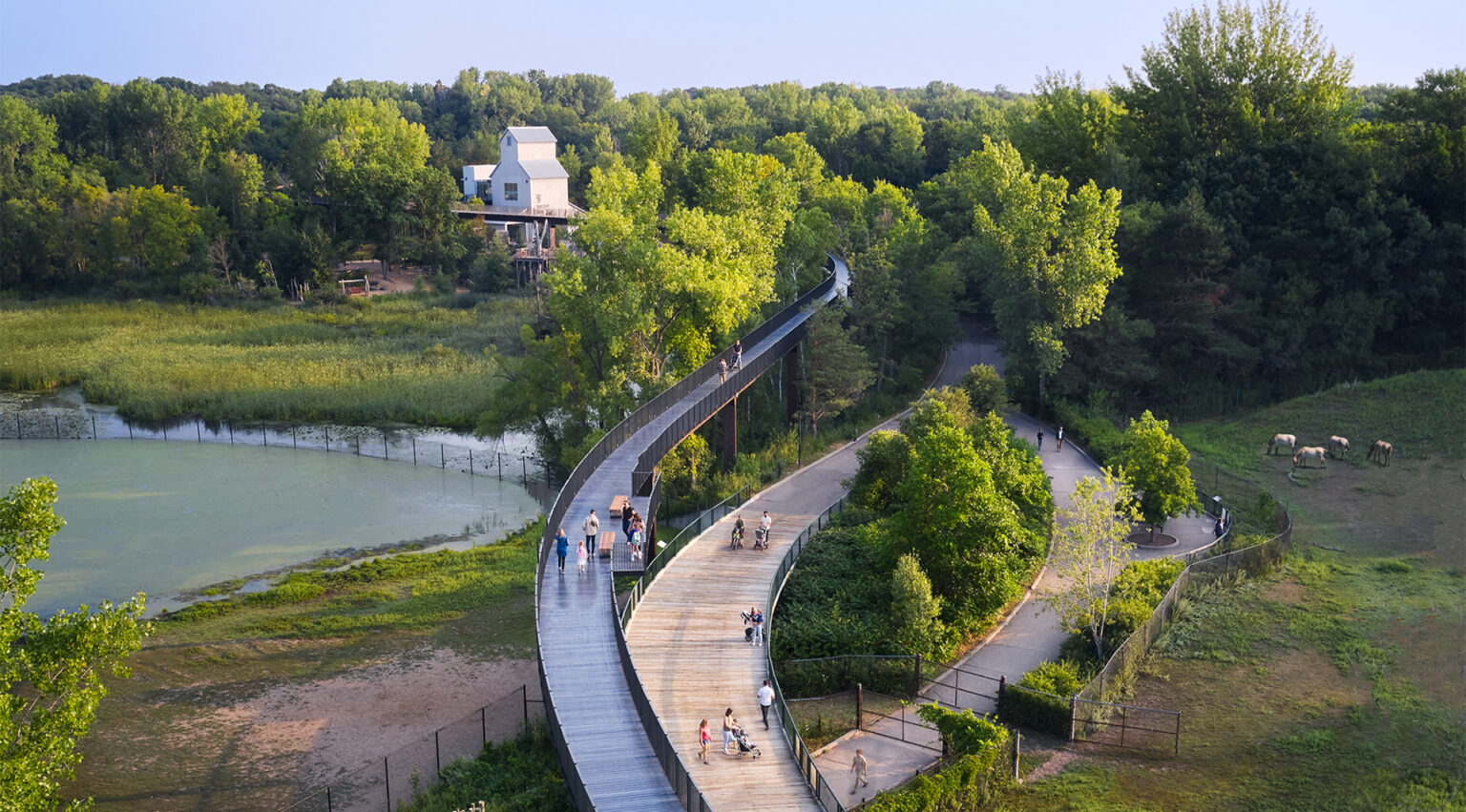 Treetop Trail at the Minnesota Zoo - MBJ